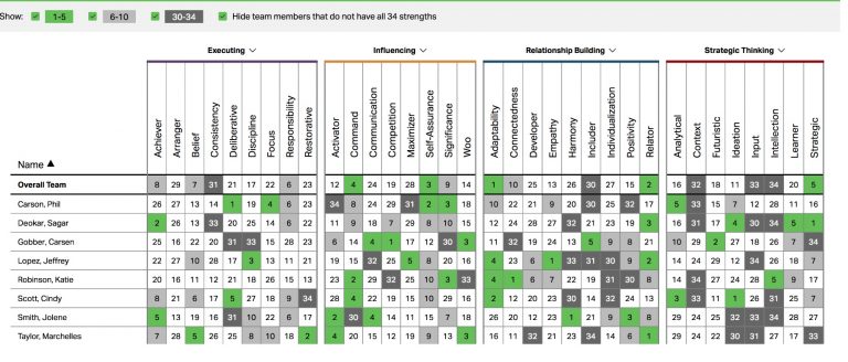 Gallup CliftonStrengths assessment and training - team days & coaching